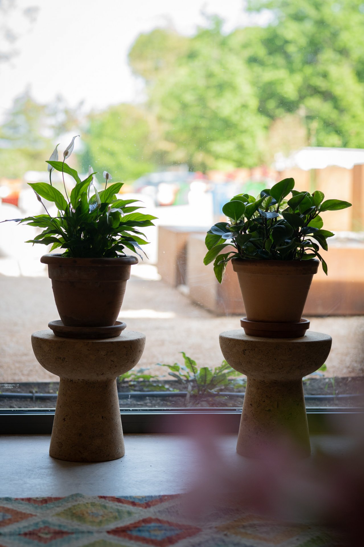 Restaurant et bar à vin à Laives - Les Vignes d'Hortense
